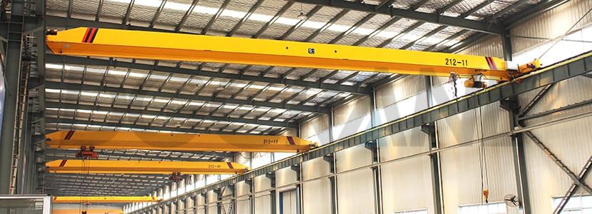 Eot Cranes Manufacturers | DGCRANE