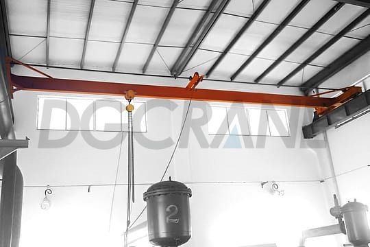 LD 2T Single Girder Overhead Crane Delivered To Philippines | DGCRANE