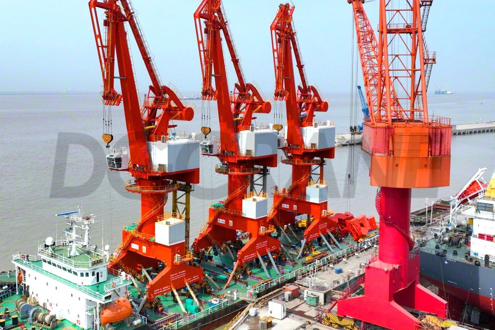 中国港口门式起重机制造商 | DGCRANE