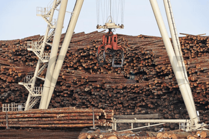 Comprehensive Guide To Overhead Crane Risk Assessment: Free PDF ...