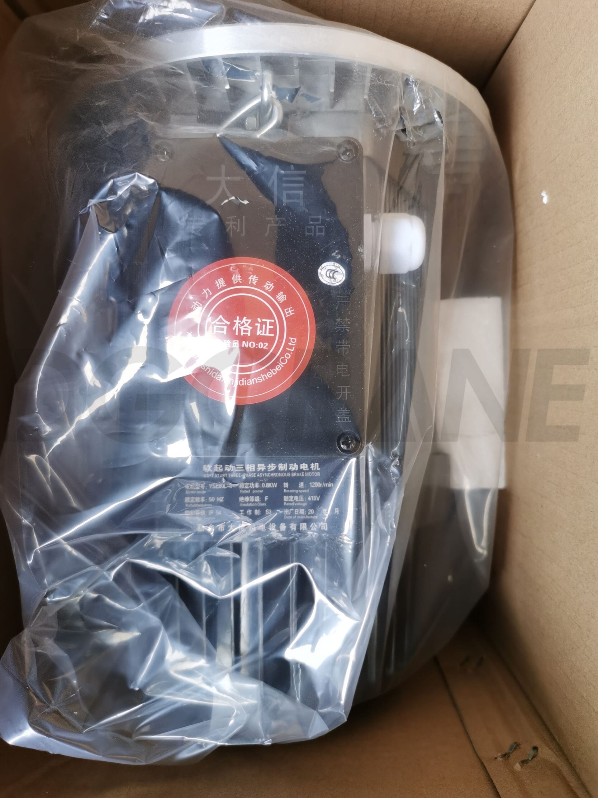 Motors and Electric Control Boxes Exported to UAE | DGCRANE