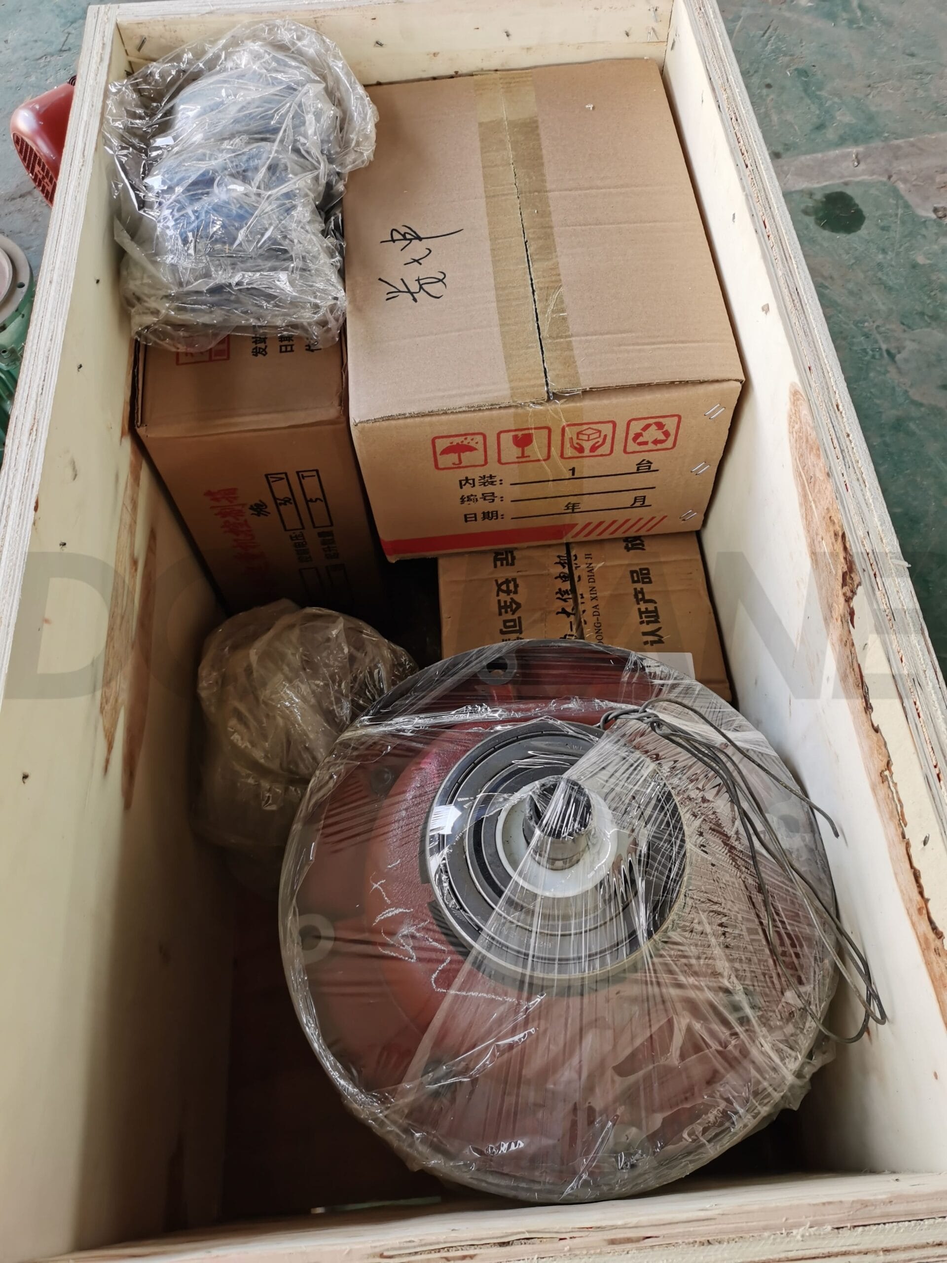Motors and Electric Control Boxes Exported to UAE | DGCRANE