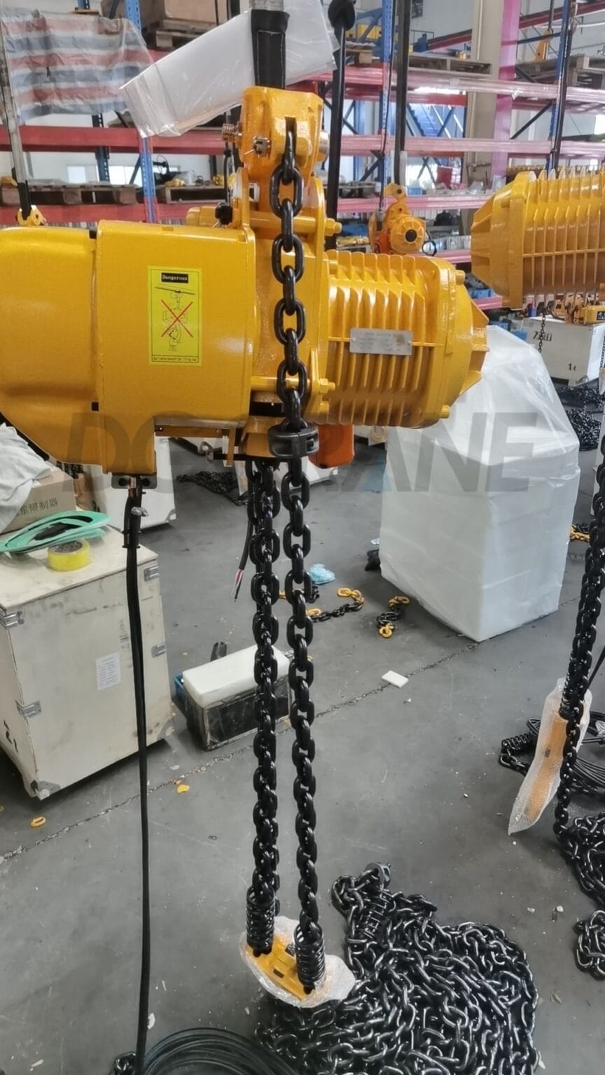 5 Sets Of 5 Ton Electric Chain Hoists Delivery To Maldives | DGCRANE