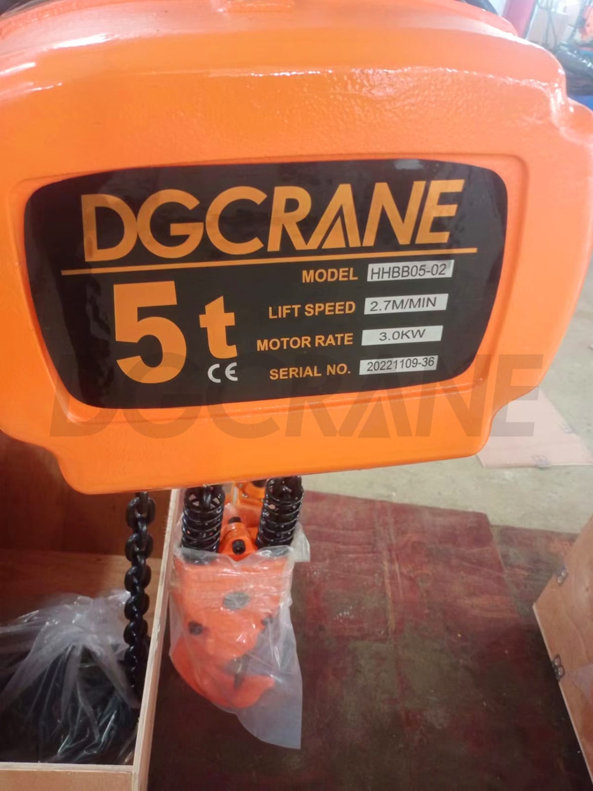 To sæt 10 tons og et sæt 5 tons elektrisk kædetalje eksporteret til Chile | DGCRANE