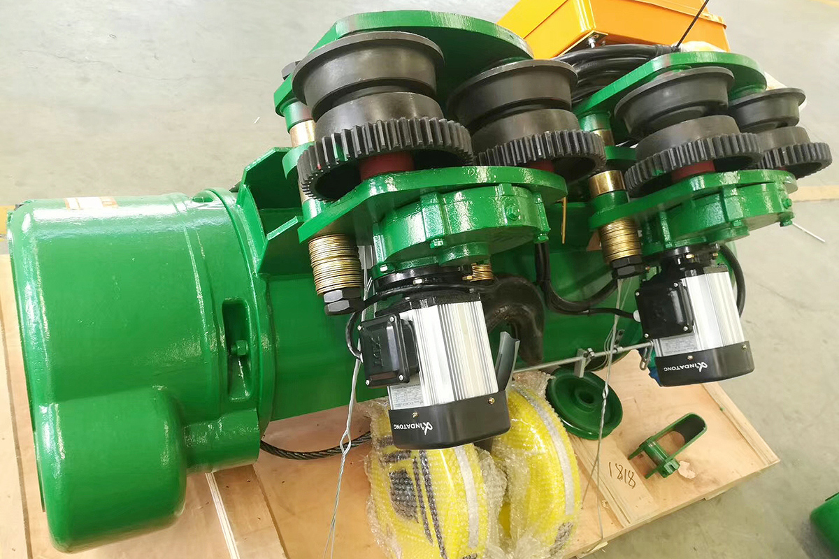 Electric Wire Rope Hoists Manufacturers | DGCRANE