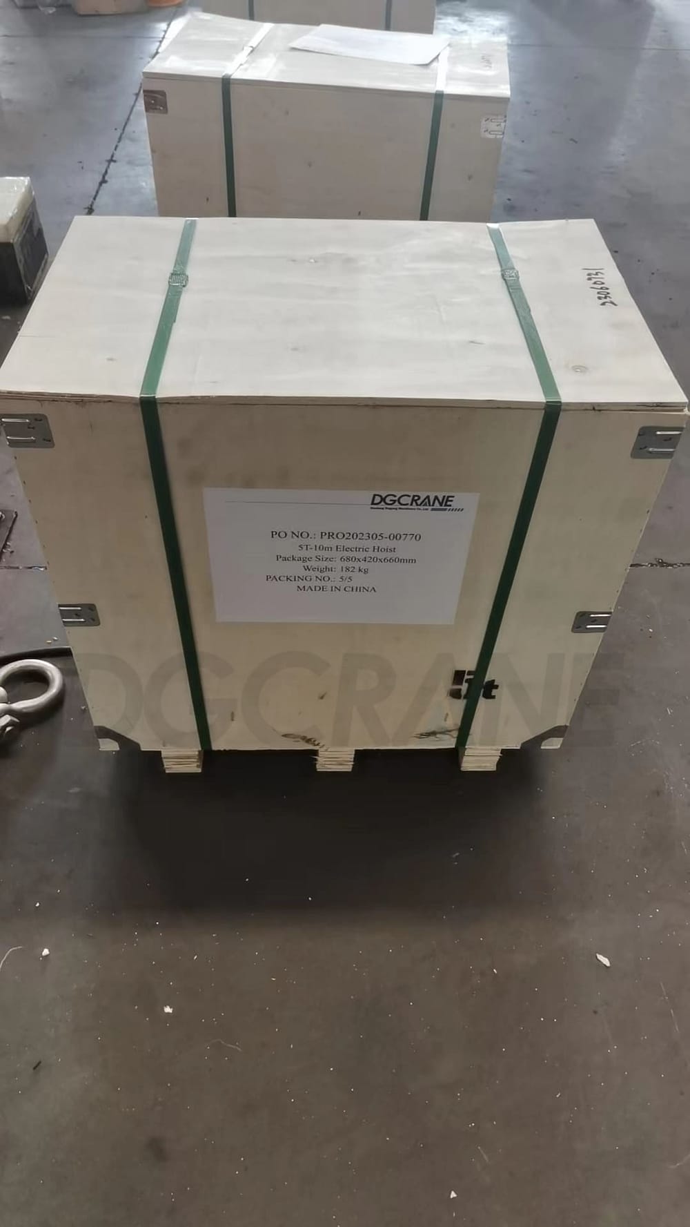 5 Sets of 5 Ton Electric Chain Hoists Delivery to Maldives | DGCRANE