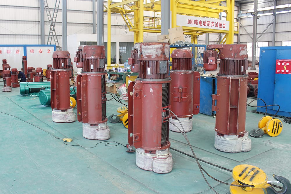 Electric Wire Rope Hoists Manufacturers | DGCRANE