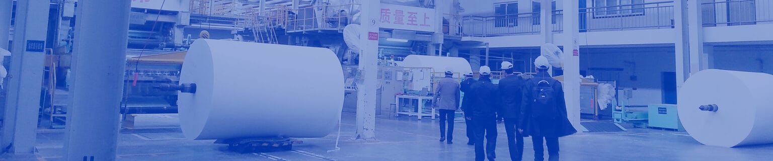 Paper Industry Overhead Crane Manufacturers | DGCRANE